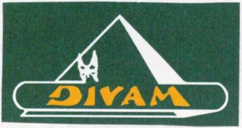 DIVAM à Clisson | Chiffre d'Affaires, Statuts et Bilans